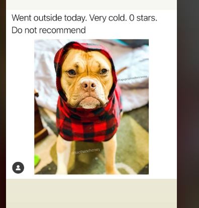 Zero stars, do not recommend - Airbnb hosts forum